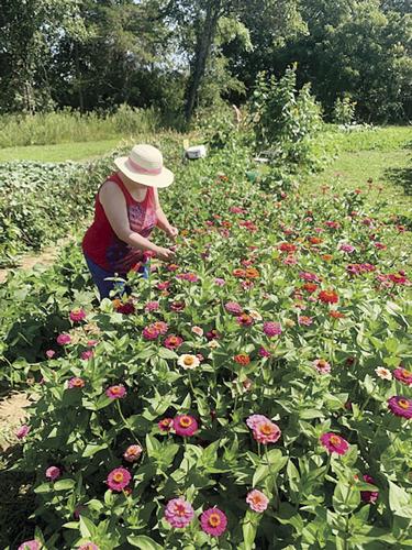 OCTOBER YARD OF THE MONTH | | thesalemnewsonline.com