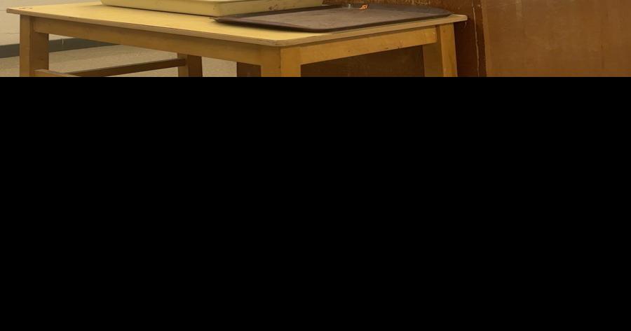 Dr Mei Wang: teacher who does it all | Communities | thesentinel.com