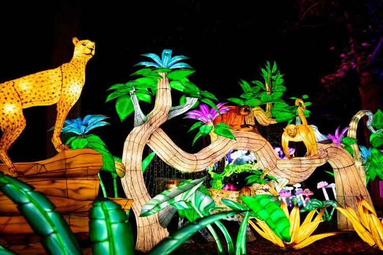 Luminocity’s 2025 Holiday Lights Festival Returns to Montgomery County ...