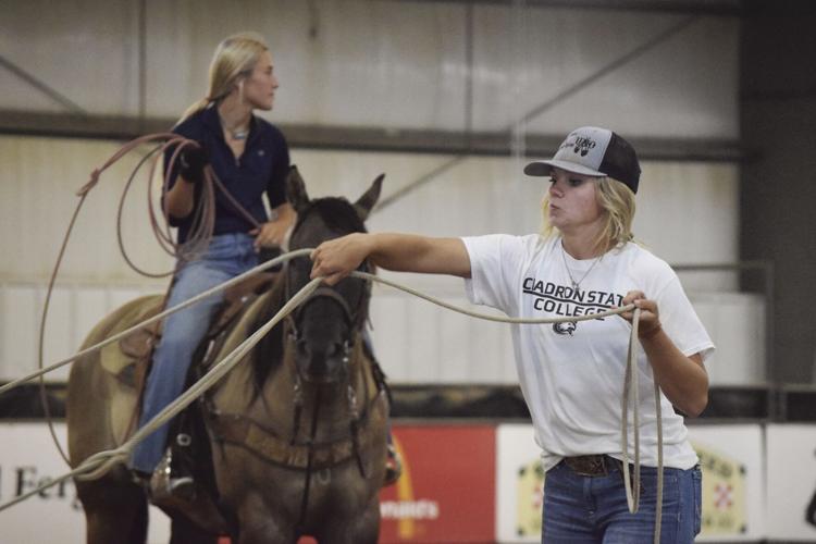 Sheridan College rodeo aims for women's team at CNFR, preps for fall ...