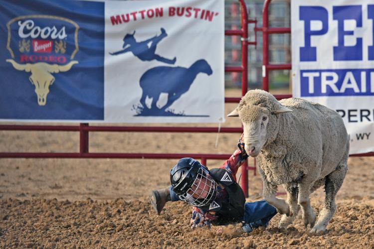 Sheridan County youth compete in second annual mutton bustin’ | Local ...