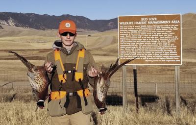 Youth pheasant hunt to be held at Bud Love Saturday | Local News ...