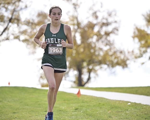 Cross-country teams culminate season at state championships | Local ...