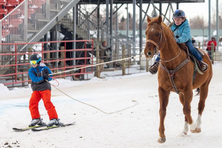 Skijoring relies on cold temperatures, snowfall | Local News ...