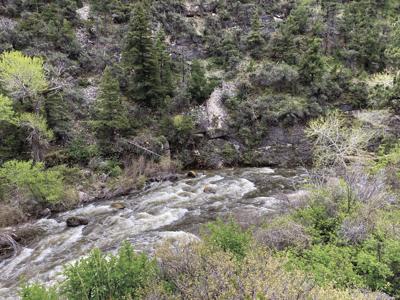 Tongue River Valley Community Center hosts trip | Local News ...