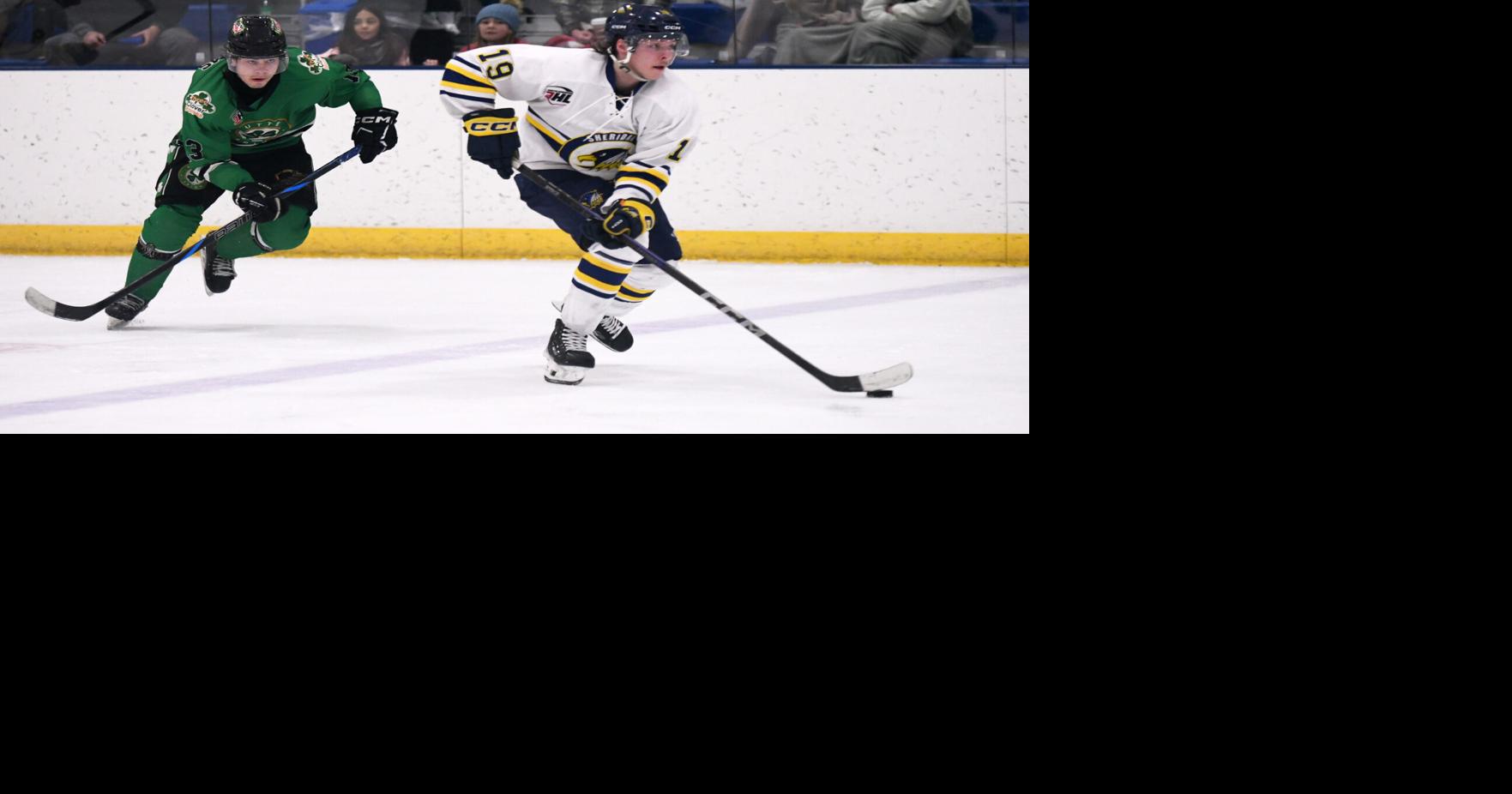 Sheridan Hawks sweep Bozeman Icedogs at home | College Sports ...