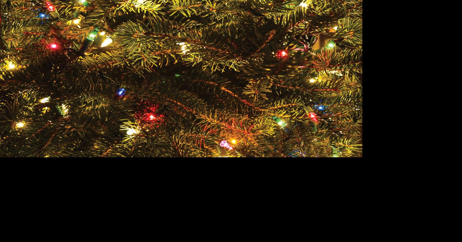 Hospital to honor loved ones with Christmas Trees of Love | Local News ...