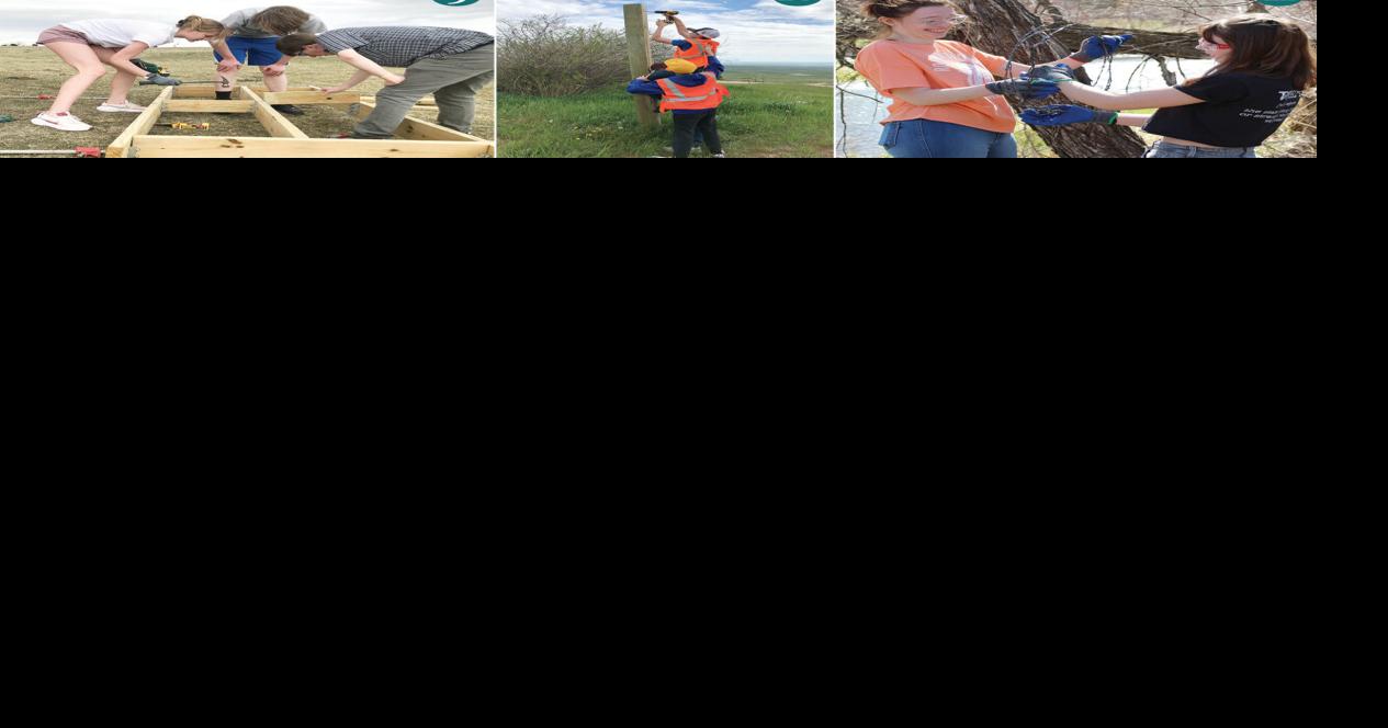 ‘For volunteers, there’s something for everyone’ at SCLT | Outdoors ...