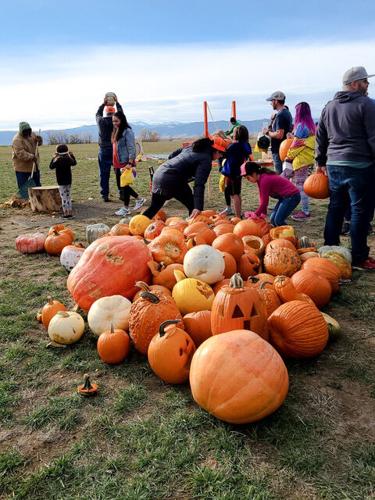 Pumpkin festival set for Saturday | Local News | thesheridanpress.com