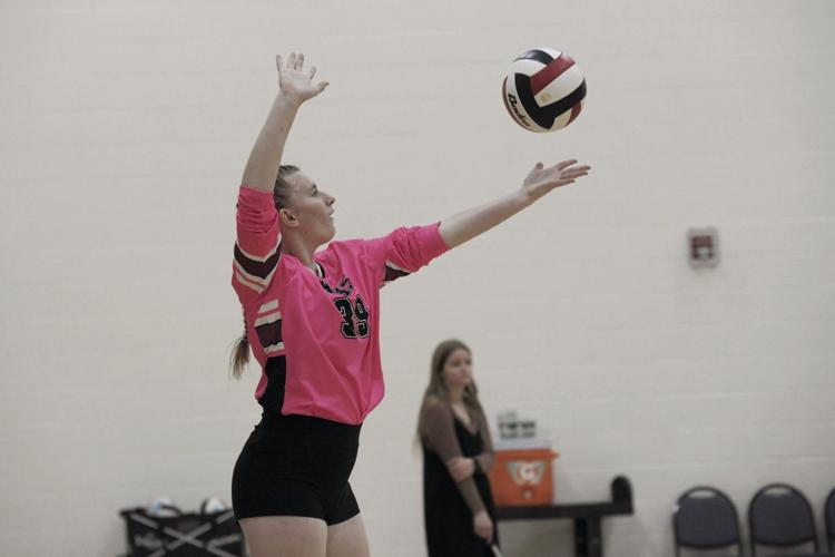 Lady Panthers volleyball closing out season of improvement | Local ...