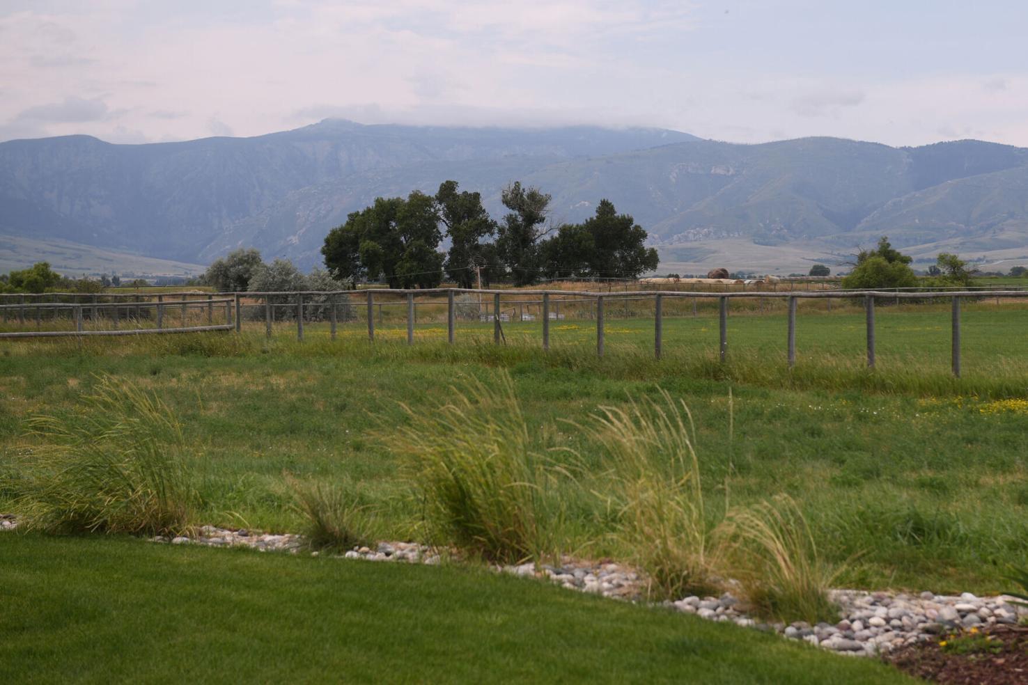 Judge determines he cannot yet rule on motion to intervene | Local News ...