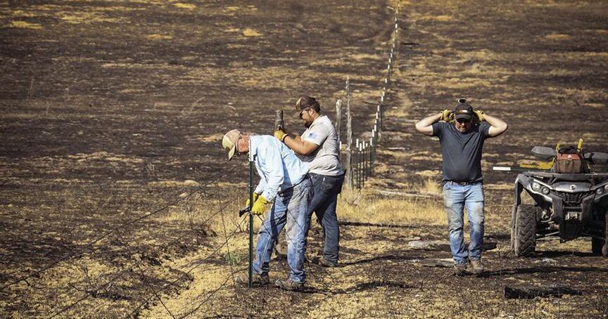 Bringing light into the darkness: Volunteers help repair fences lost in ...
