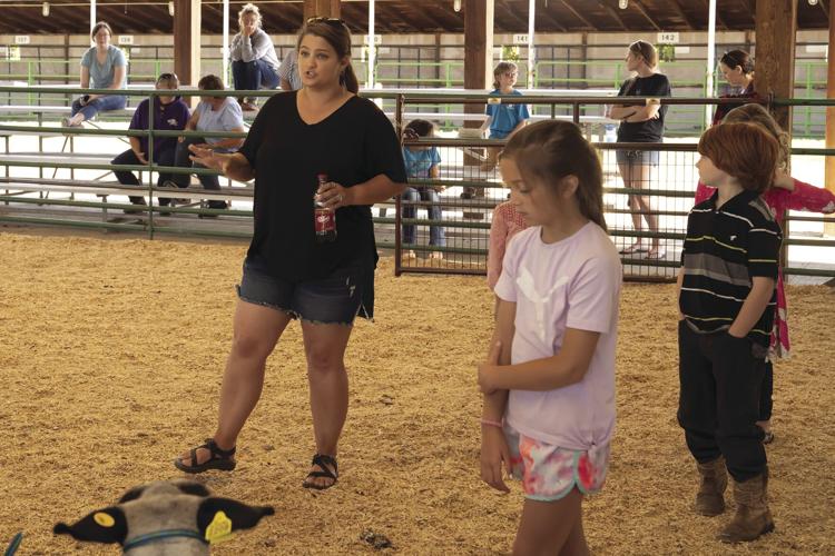 Swinyer honored for her work as 4-H educator | Outdoors ...
