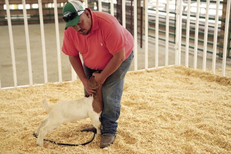 Swinyer gives back to the community that raised him through 4-H | Local ...