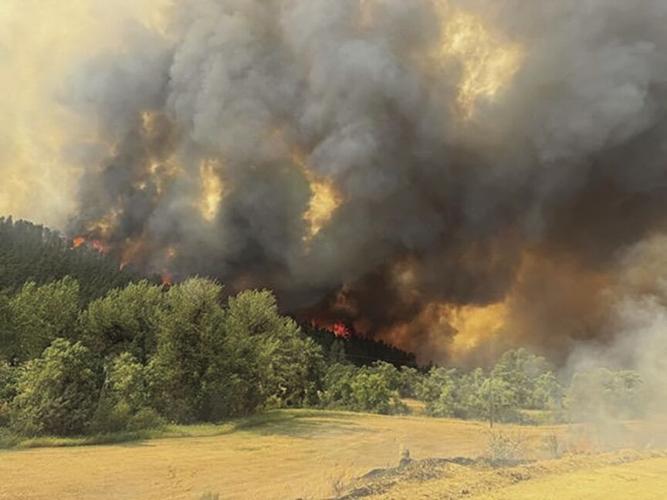 Ranchers decimated by Remington fire | Local News | thesheridanpress.com