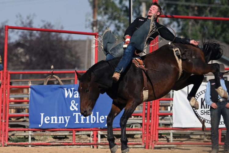 Sheridan College rodeo teams deliver strong results at Antelope ...