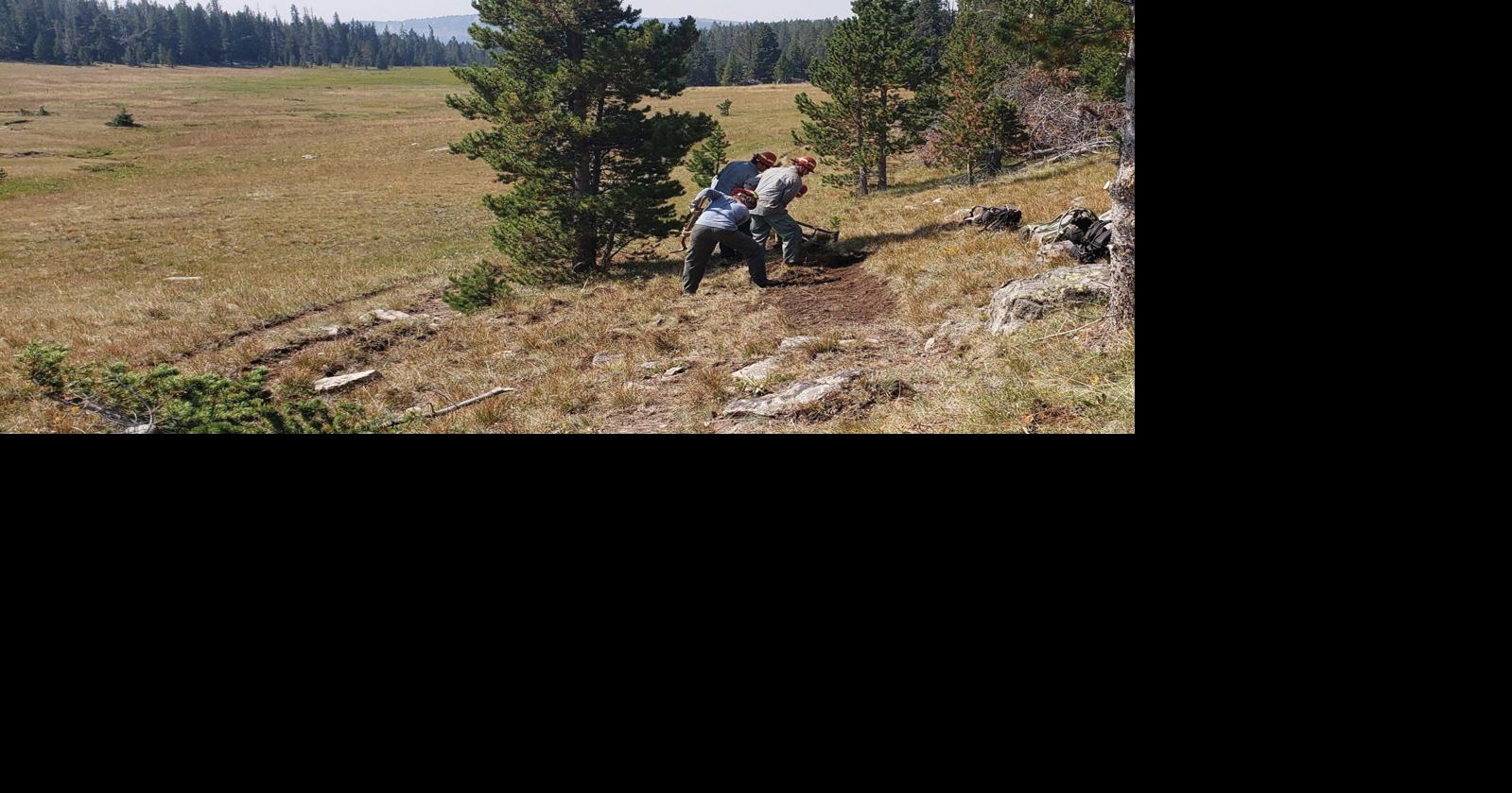 Fee-free day in forest in recognition of veterans | Local News ...