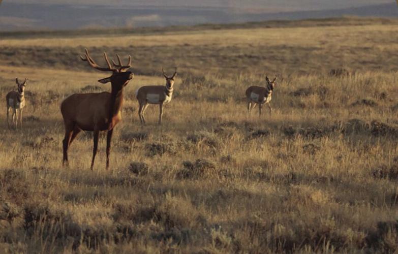 Understanding preference points | Local News | thesheridanpress.com