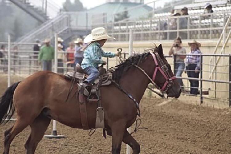 Sheridan County set for annual rodeo | Local Sports | thesheridanpress.com