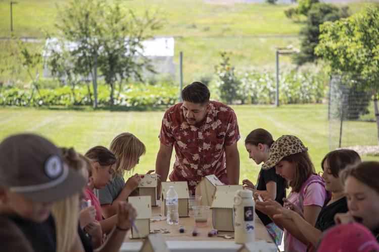 The Brinton Museum hosts first summer wildlife camp | Local News ...