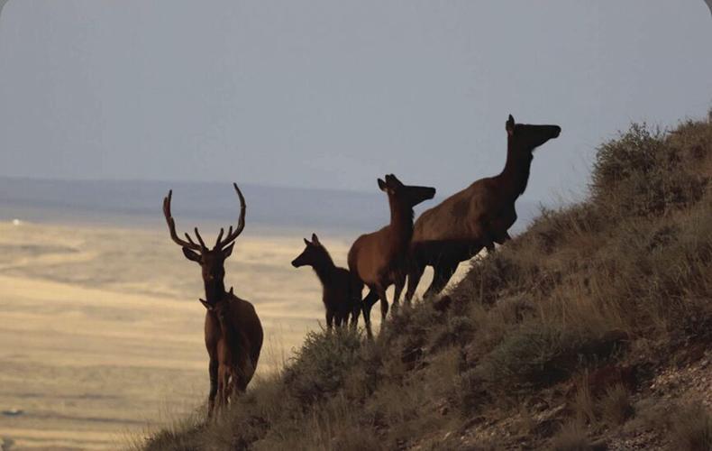 Understanding preference points | Local News | thesheridanpress.com