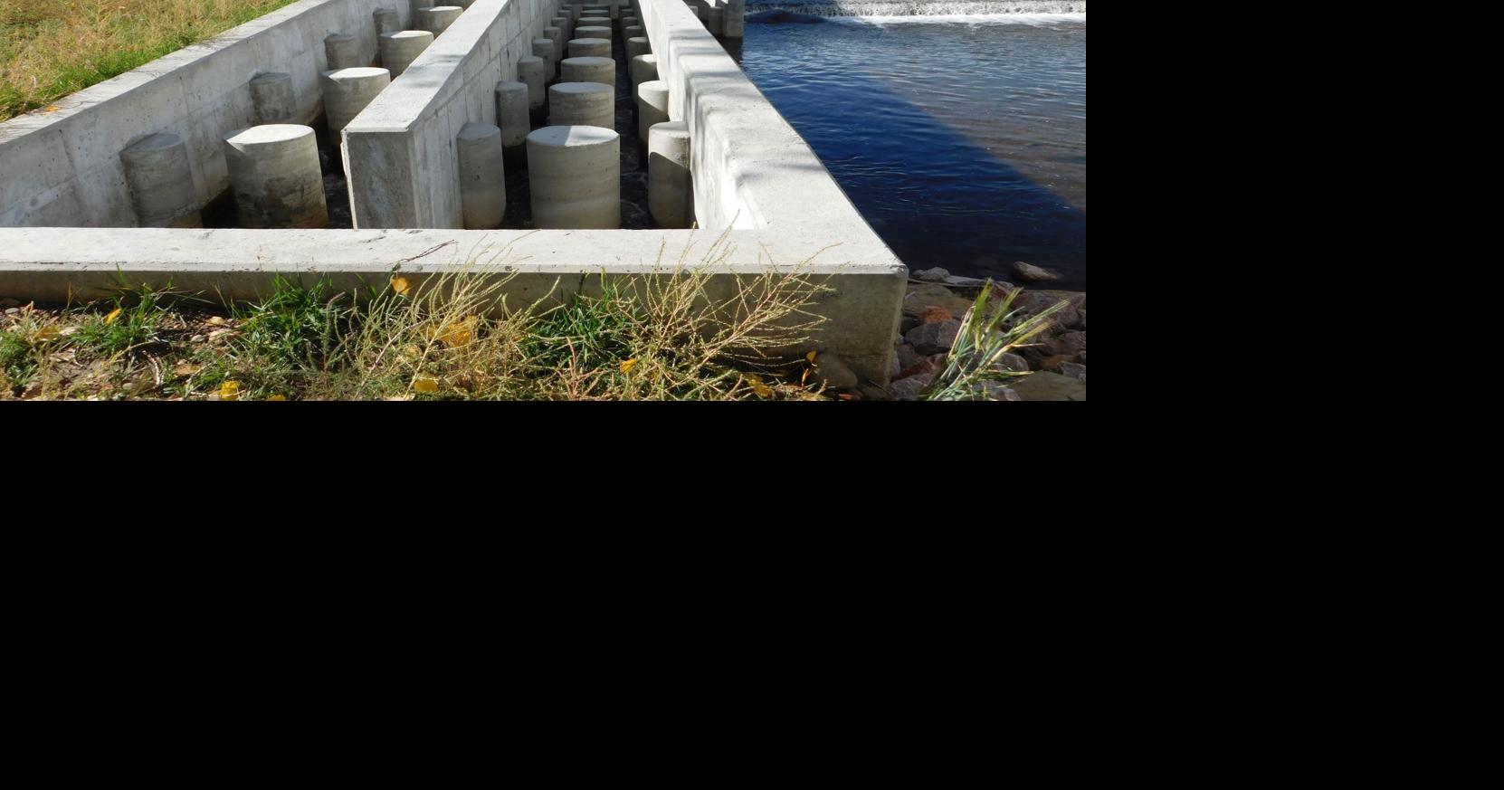 Tagging project planned for Oct. to monitor fish migration, ladder ...