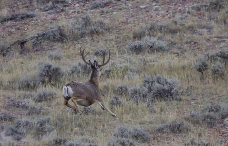 Understanding preference points | Local News | thesheridanpress.com