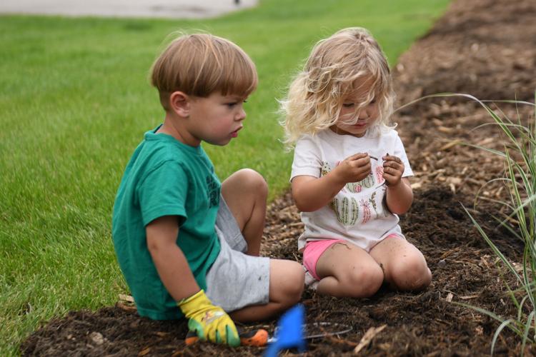 City plants trees ahead of Kendrick Pool reopening | Local News ...