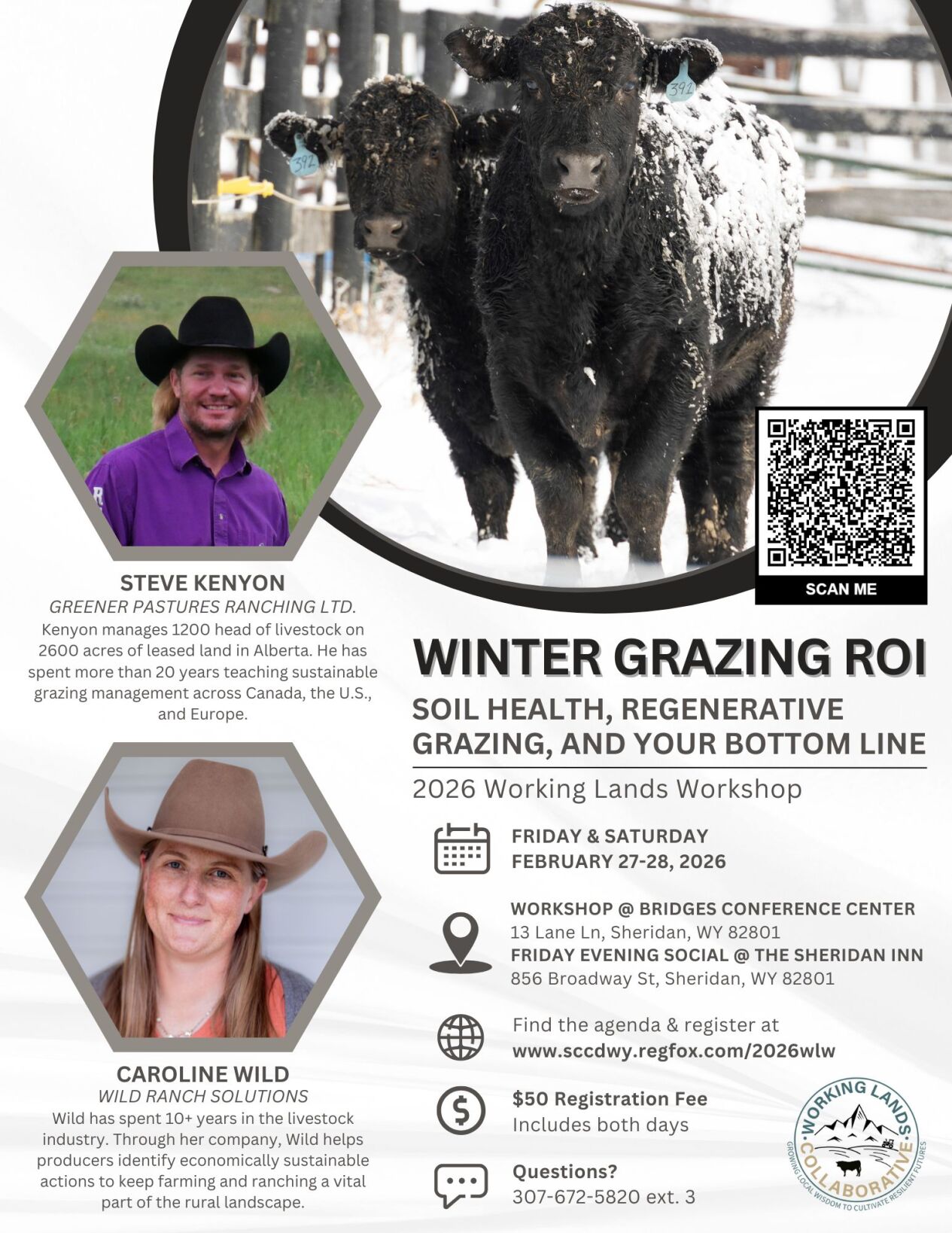 Winter grazing workshop set to be held Feb. 27-28 | People and events ...