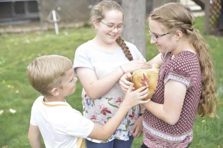 Participation in 4-H inspires new passions, life skills for Hinton ...