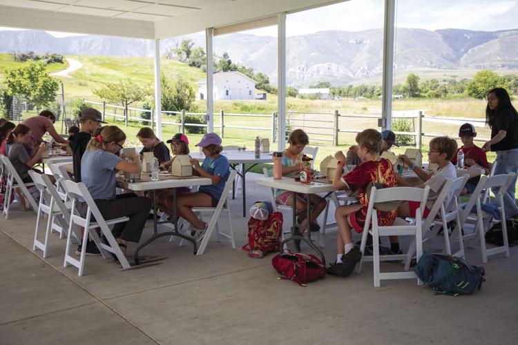 The Brinton Museum hosts first summer wildlife camp | Local News ...