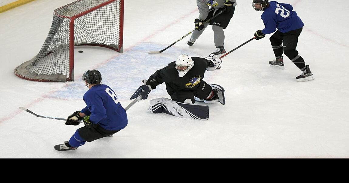 NA3HL Hawks look to compete vs. Bozeman Icedogs in unpredictable season ...