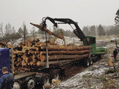 Log hauling trucks on forest roads | Local News | thesheridanpress.com