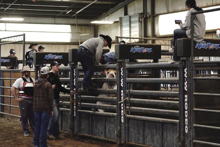 Sheridan College and Sheridan WYO Rodeo operate local AgriPark in ...