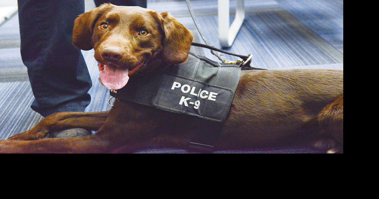 Puppy love: SPD adds drug dogs to force | Local News | thesheridanpress.com