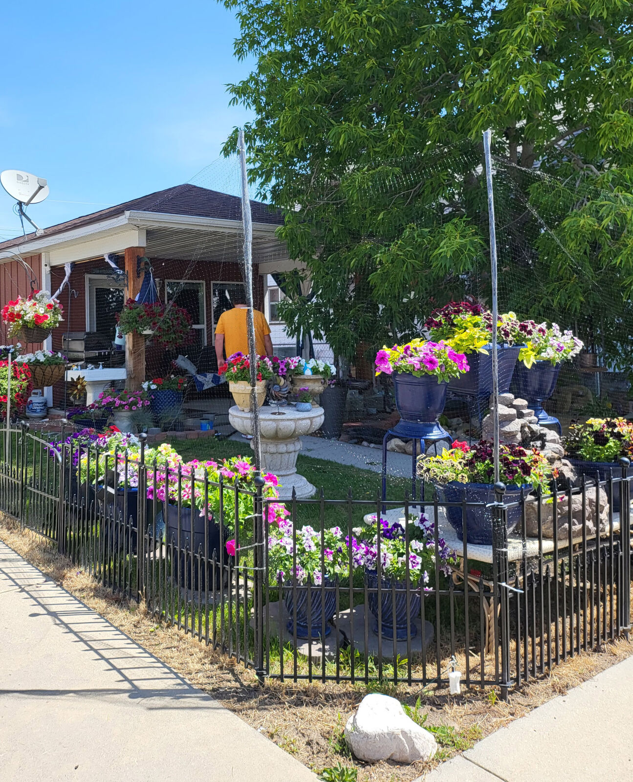 Kaleb Yager spreads joy through colorful yard displays | Local News ...