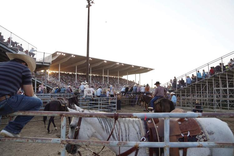 For stock contractors, Sheridan WYO Rodeo begins much earlier, with ...