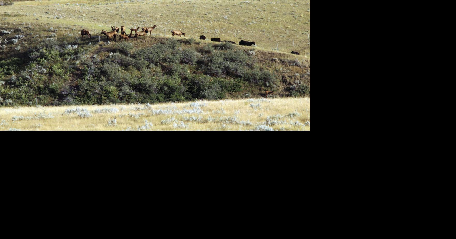 Letter: Oppose the Columbus Peak Ranch/ State Trust Lands Exchange ...