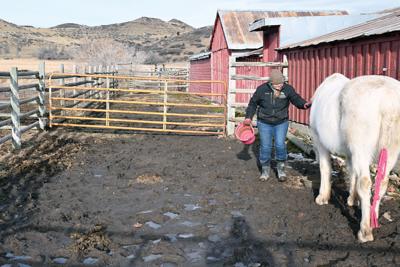 CHAPS closing for week in September | Local News | thesheridanpress.com