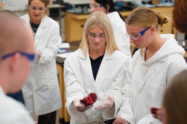 Vocational agriculture program offers BHHS students new learning ...