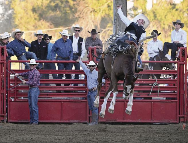 Sheridan College rodeo has strongest showing of season in Pat Hamilton ...