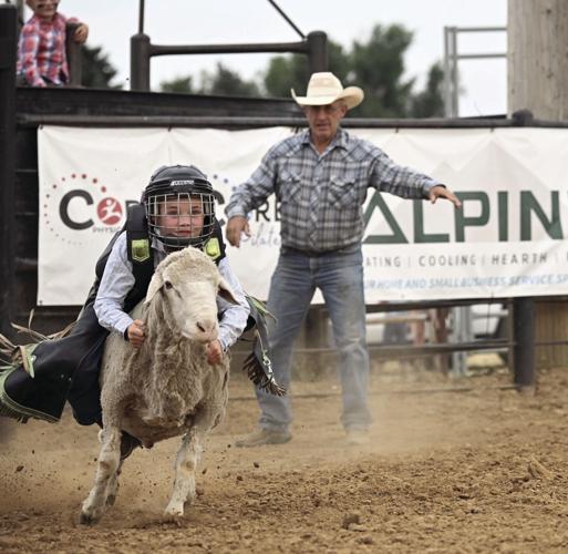 Inaugural Sheridan County Fair mutton bustin’ | Photo Galleries ...