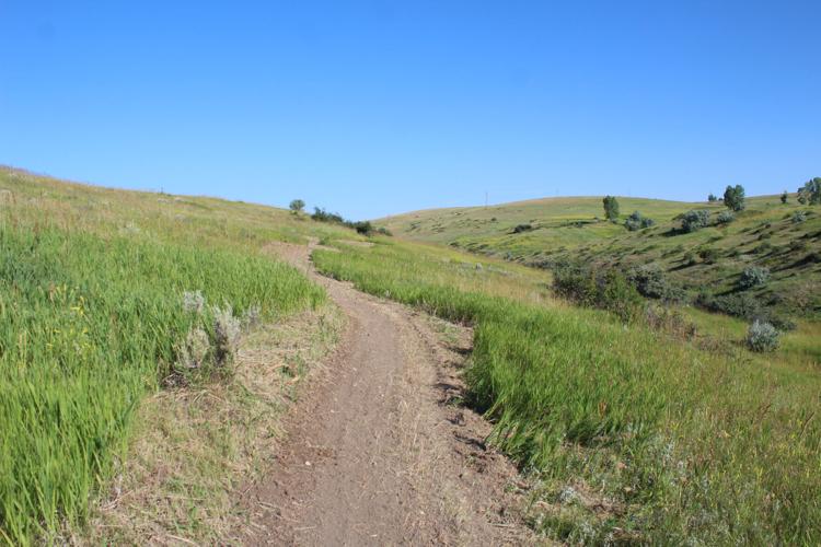Column: Double Eagle Trail offers opportunities that are more than par ...