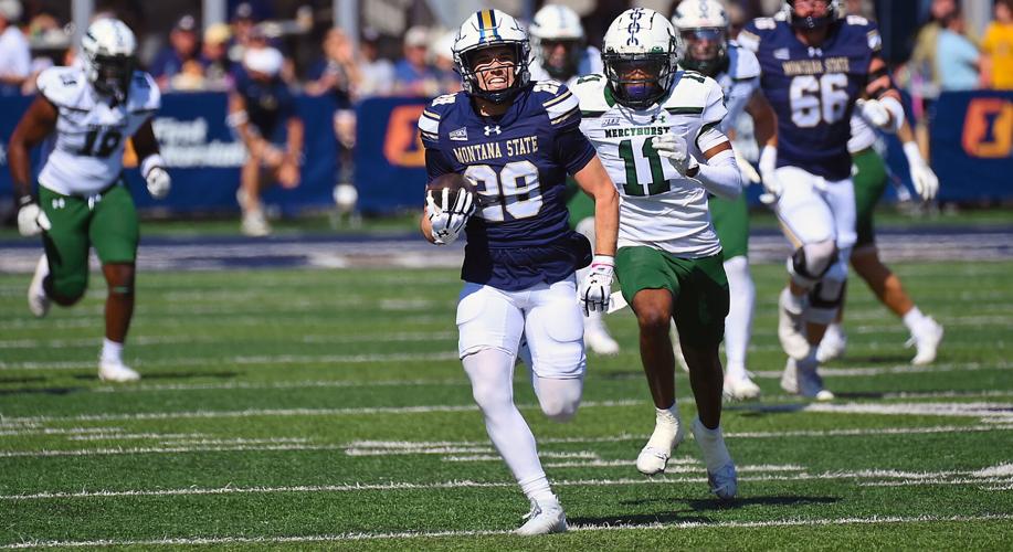 Sheridan County athletes thrive in Montana State football program ...