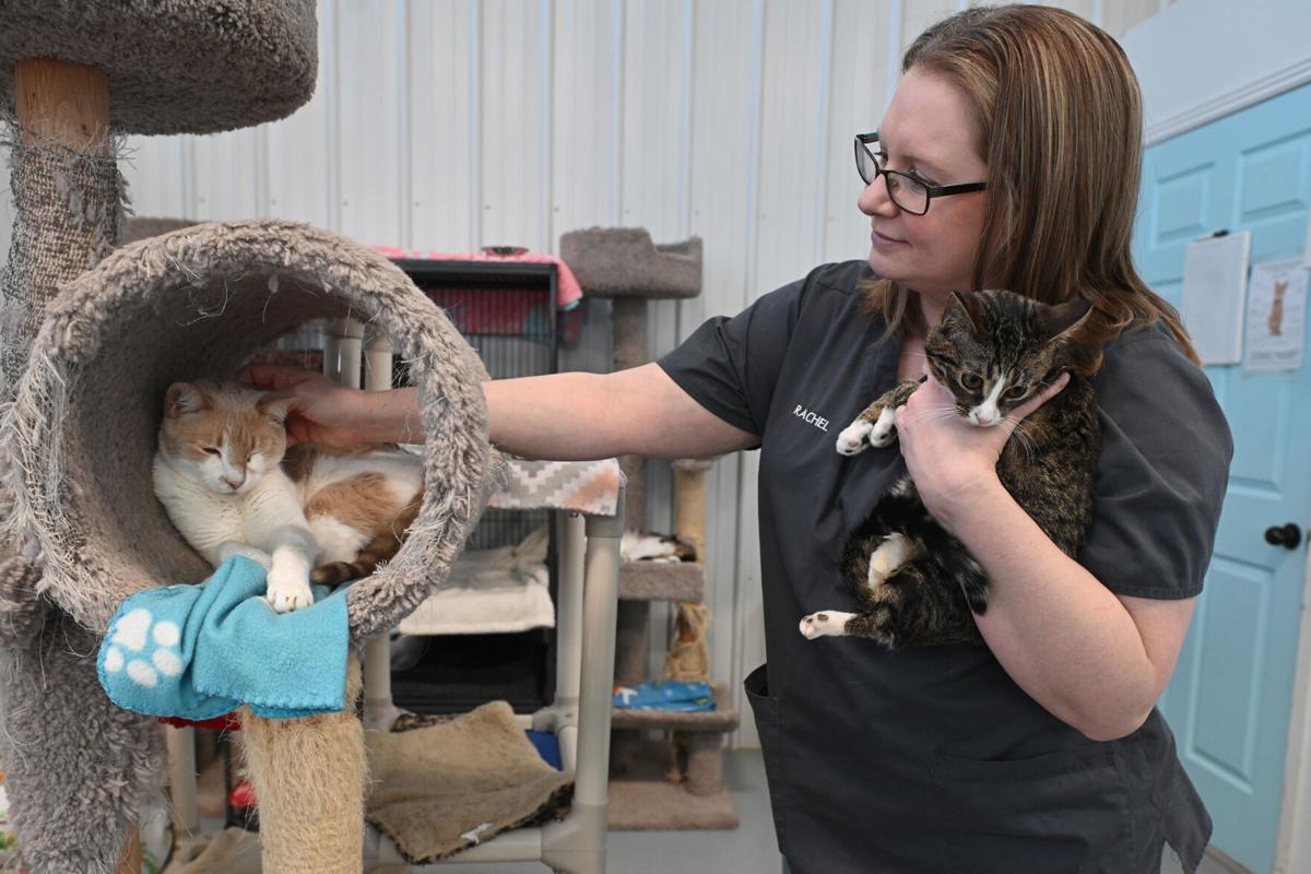 Page A02 | e-Edition | thesheridanpress.com