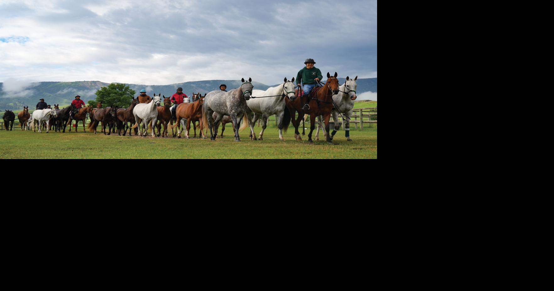 Flying H Polo Club Prepares for 2023 Season | Photo Galleries ...