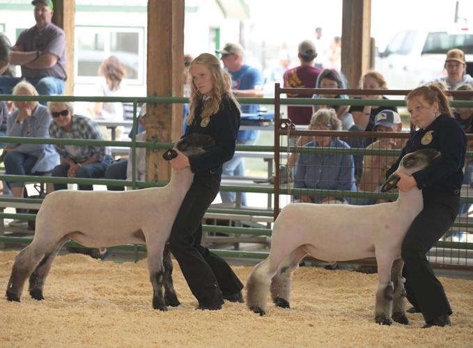 Former SHS students receive American FFA Degree | Local News ...