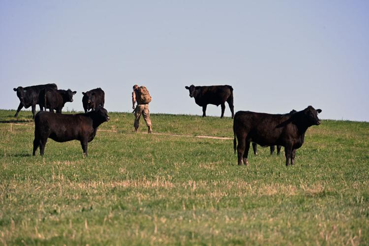 Veteran Village - 82801’s annual Ruck Race | Multimedia ...