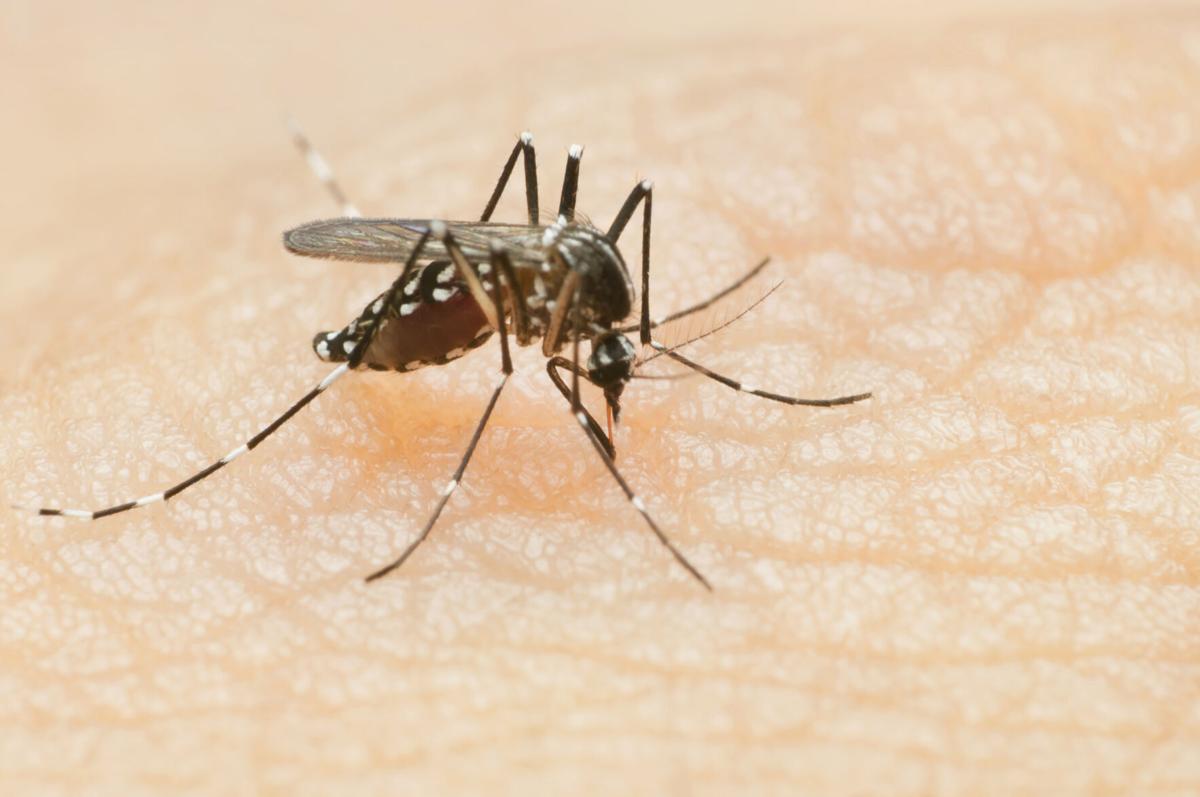 Sheridan County Weed and Pest Mosquito Abatement Program | People and ...