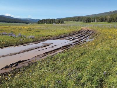 Column: It’s just some mud; so why do we care so much? | Columnists ...